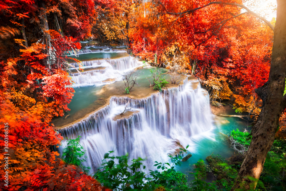 Cool Nature Photography Fall