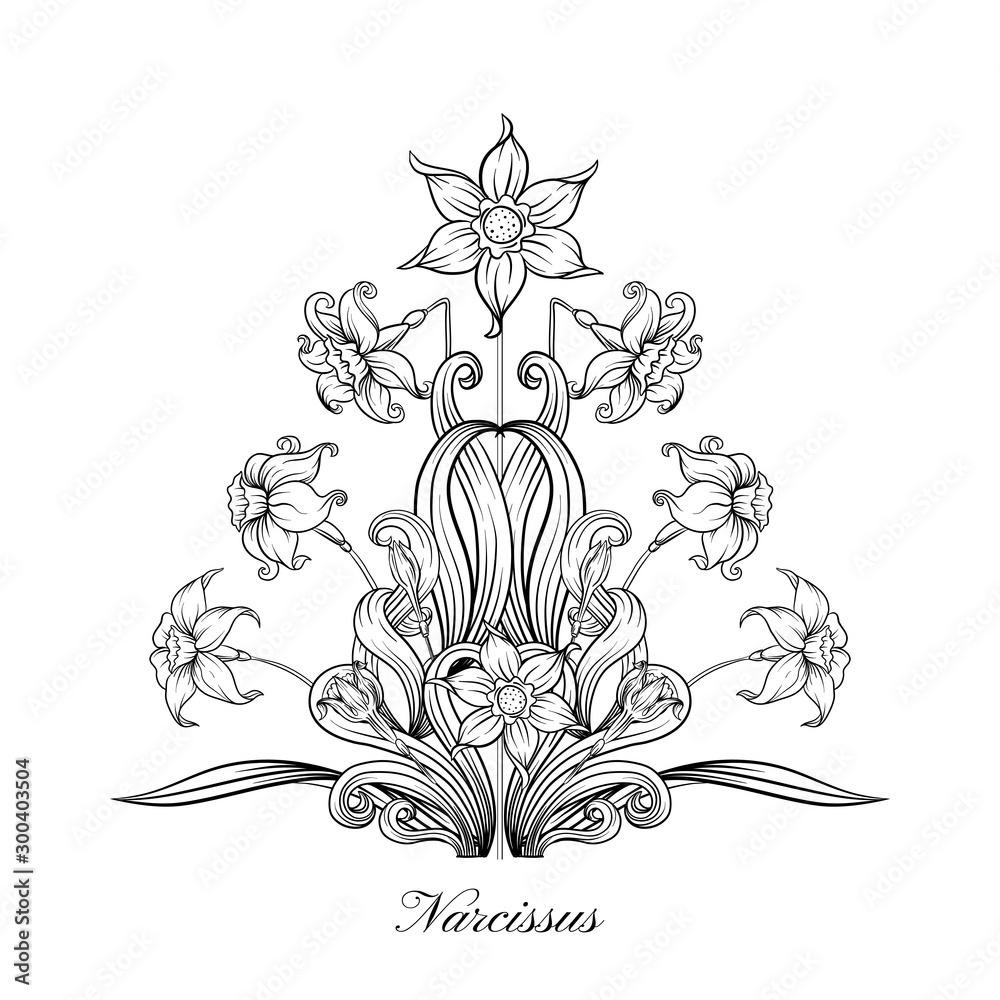 Narcissus. Set of elements for design Outline hand drawing vector ...