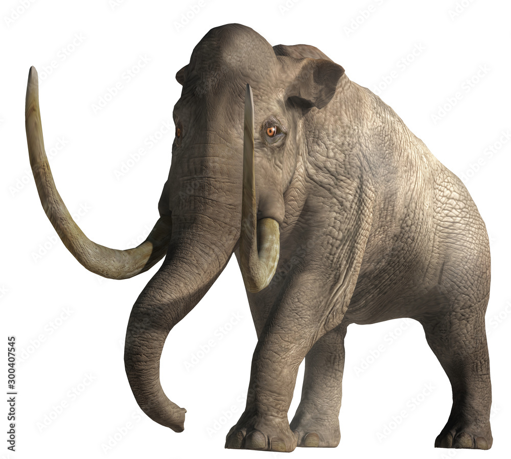 The Columbian Mammoth is an extinct animal that inhabited warmer ...