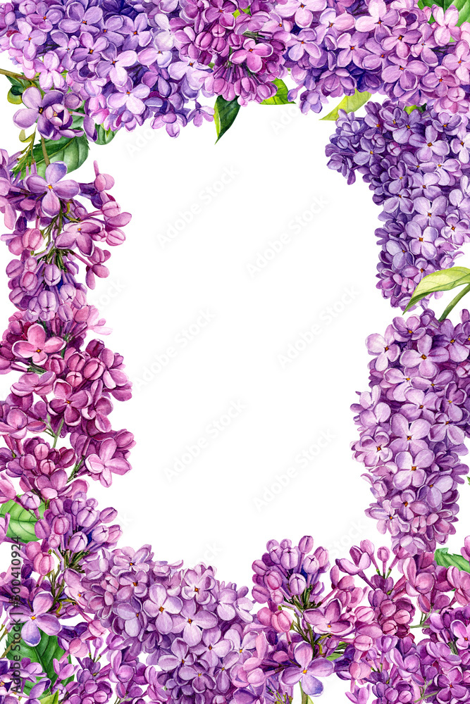 frame of lilac flowers on an isolated white background, watercolor ...