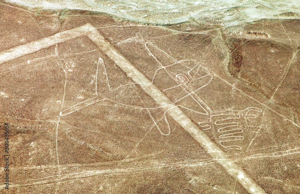 The whale, Nazca mysterious lines and geoglyphs Stock Photo | Adobe Stock