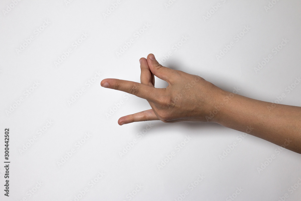 Woman hand showing gray wolf finger symbol isolated on white background ...