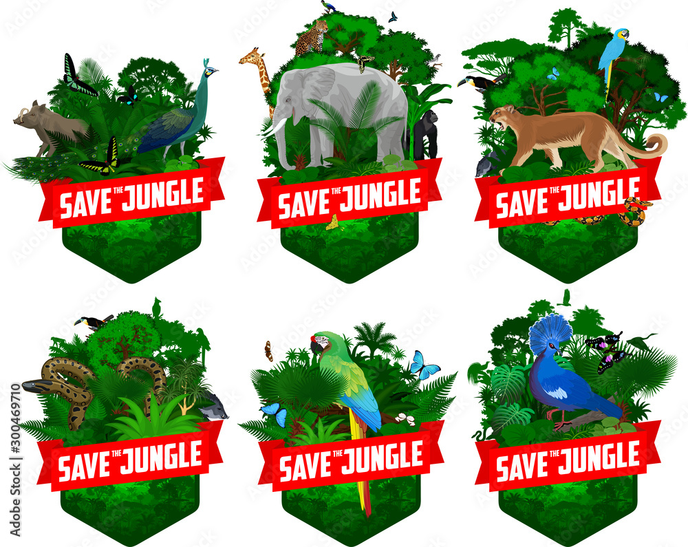 set of vector jungles rainforest emblems with anaconda, toucan, macaw ...