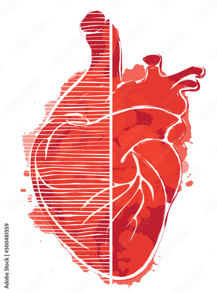 Vector red graphic abstract illustration of human heart with ink blots ...