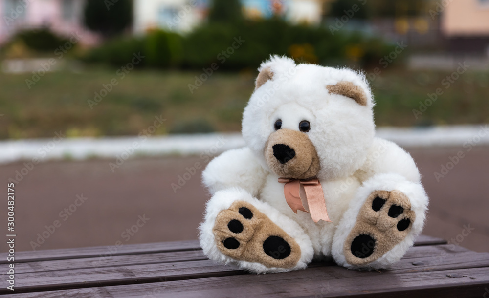 Sad lonely teddy bear. White fluffy teddy bear lonely sits on an old ...