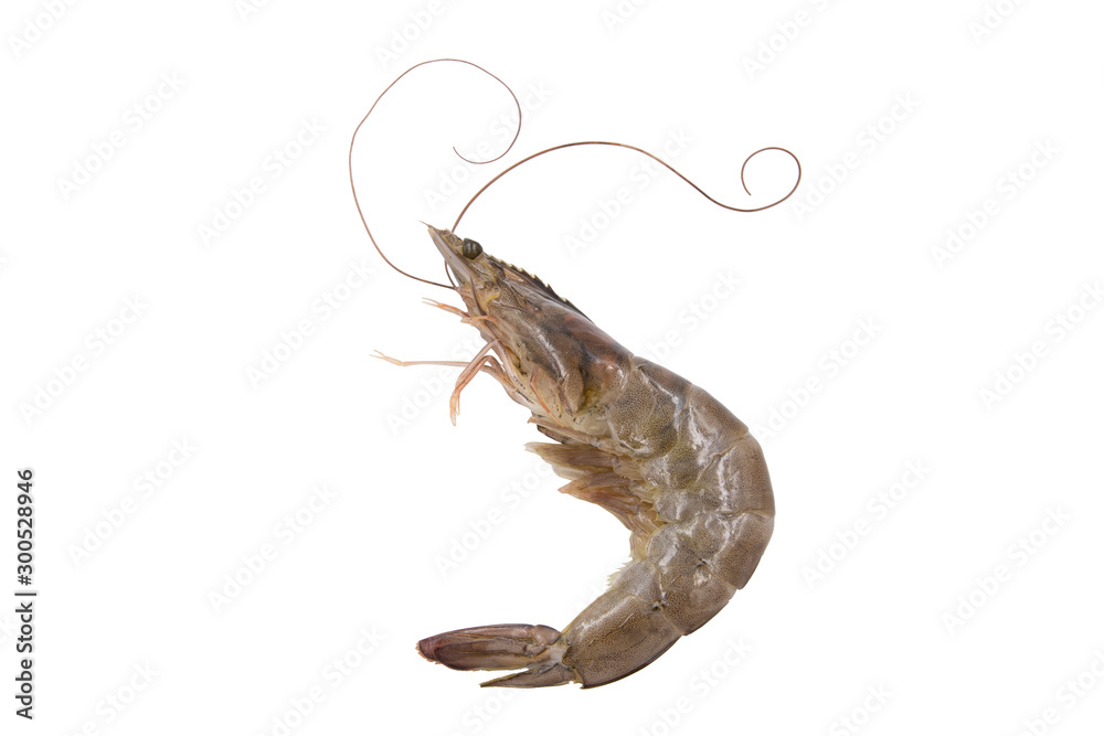 Fresh shrimp isolated on white background. with clipping path. table ...
