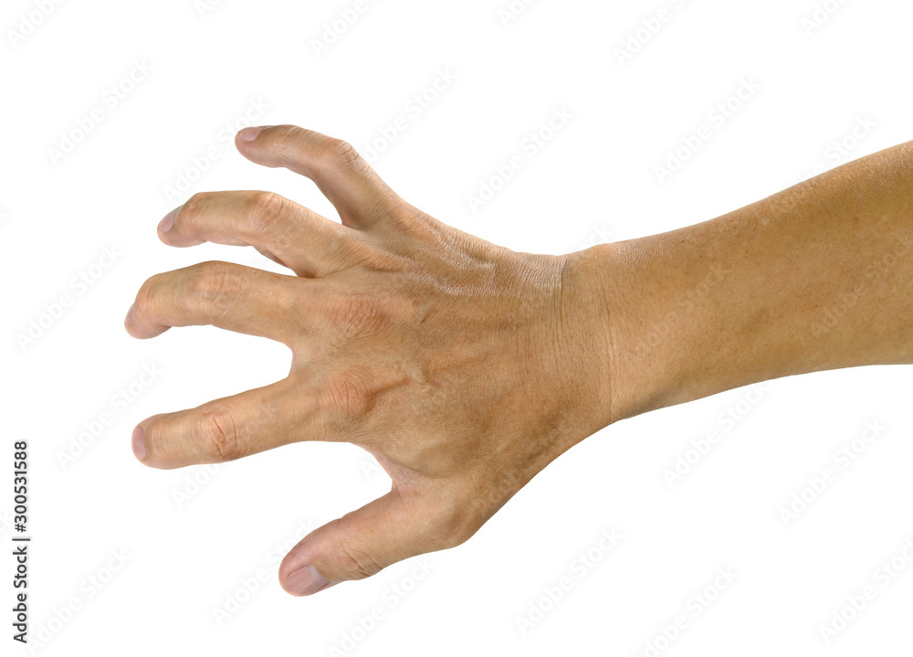 back hands reaching something isolated on white background Stock Photo ...