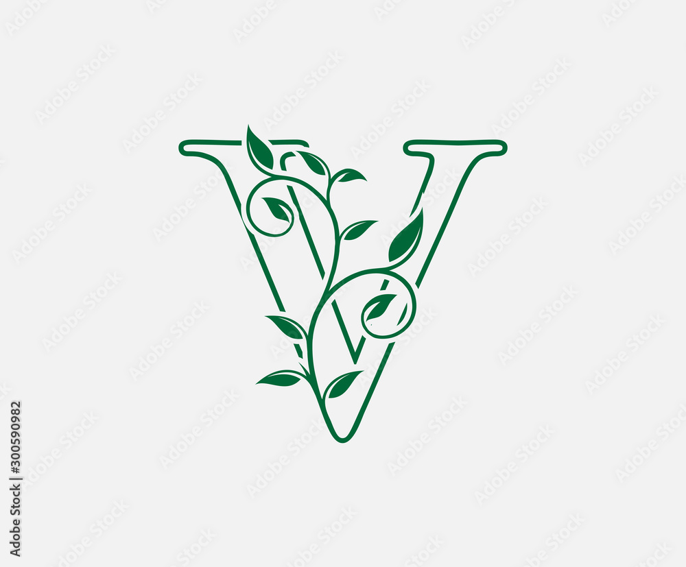 Fancy Letter V Designs