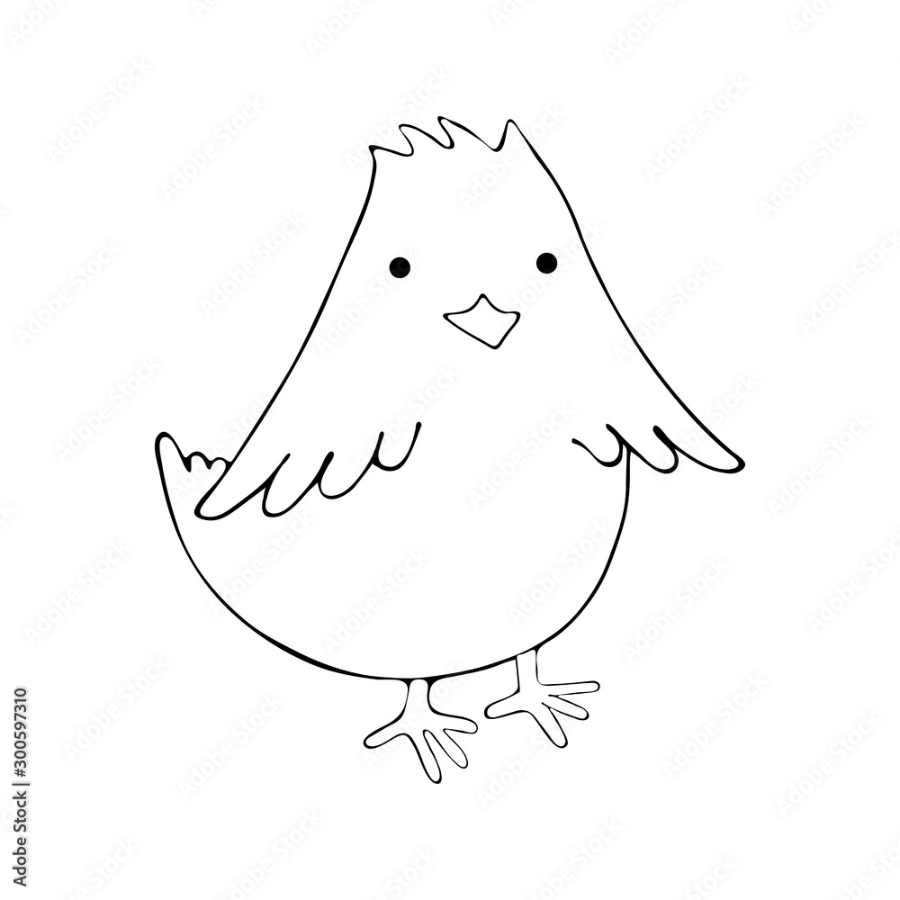 Cute Black Baby Chickens