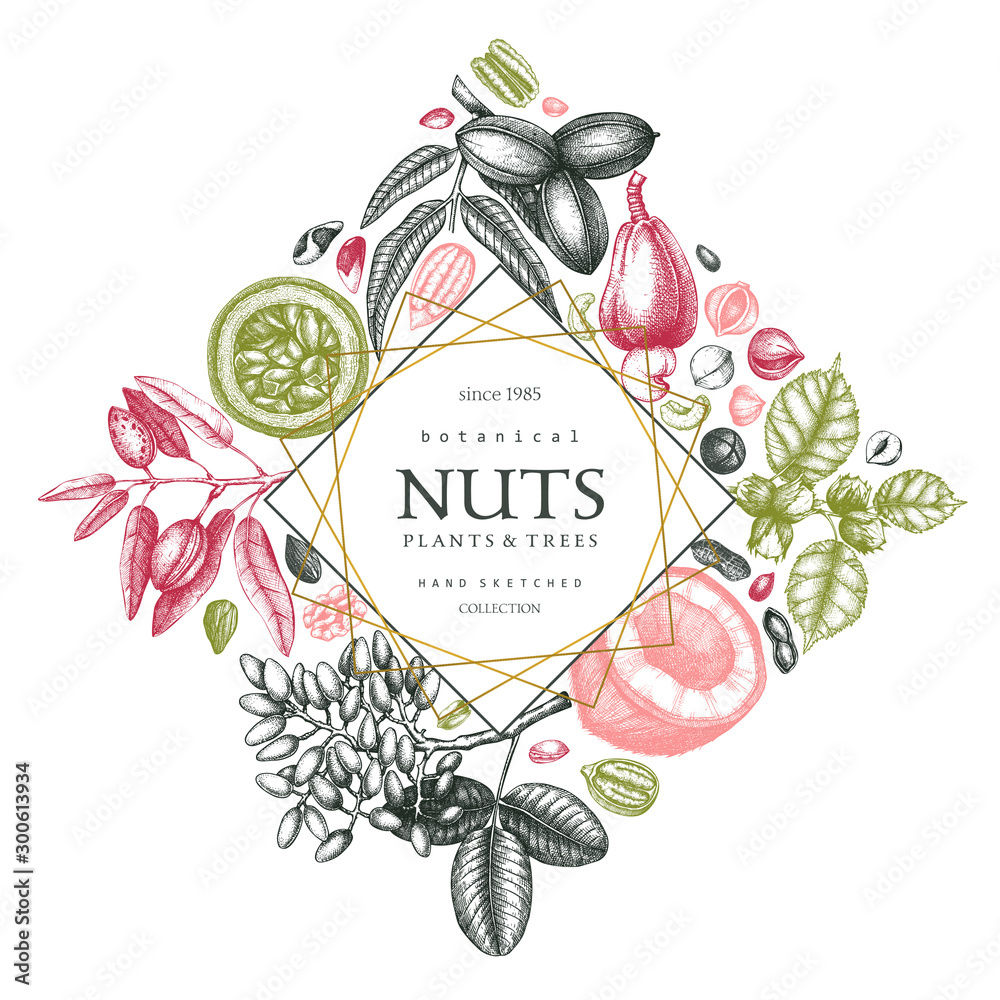 Hand drawn nut wreath design. With vector pecan, macadamia, hazelnut ...