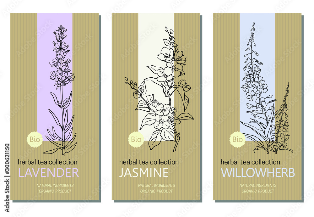 Vector set of herbal tea labels with herbs and plants sketches: jasmine ...