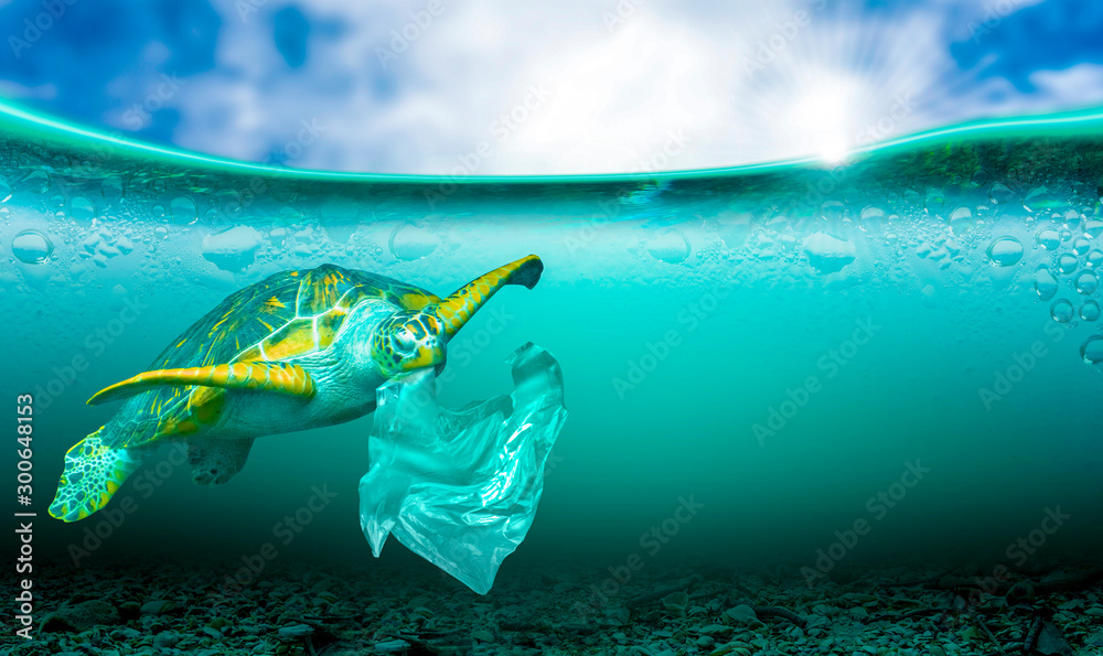 Plastic pollution in marine environmental problems Animals in the sea ...