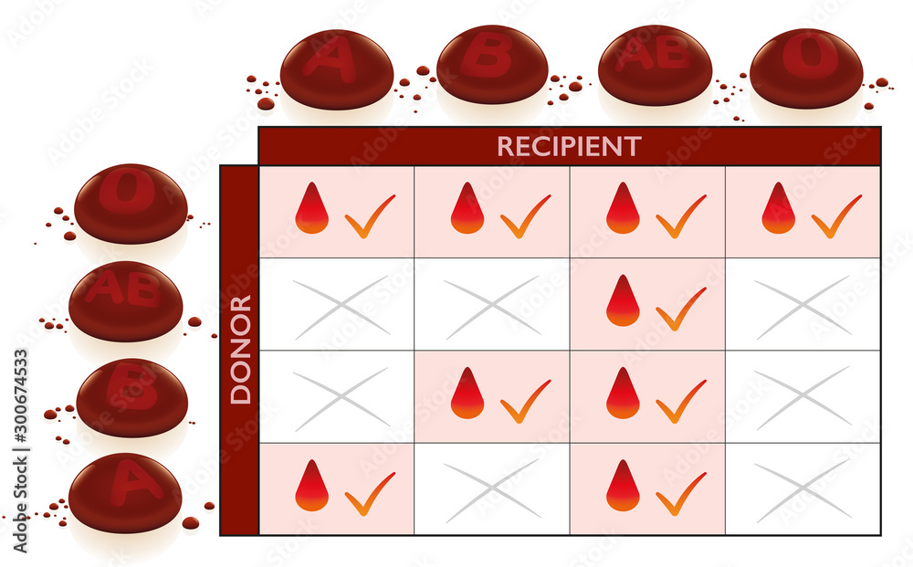 Blood groups transfusion compatibility chart with column and row for ...