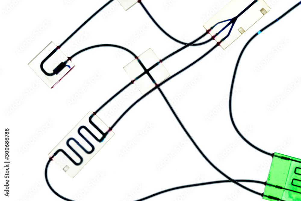 Foto de Organ-on-a-chip (OOC) - microfluidic device chip that simulates ...
