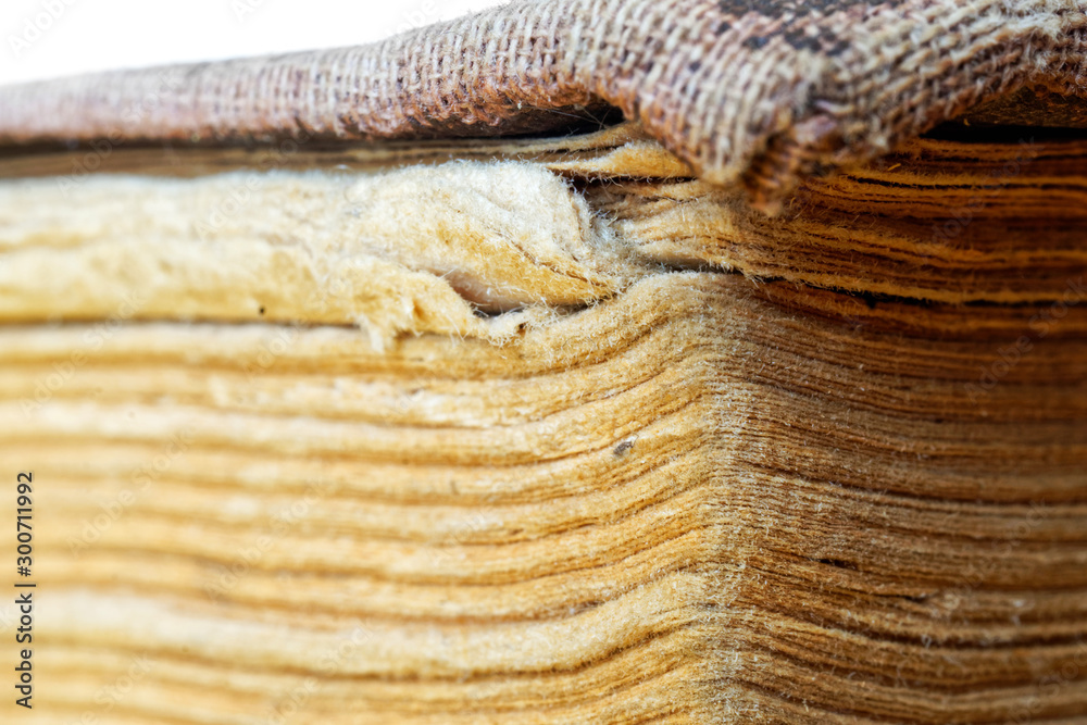 Damaged by mold and insects an old book from the library or a ...