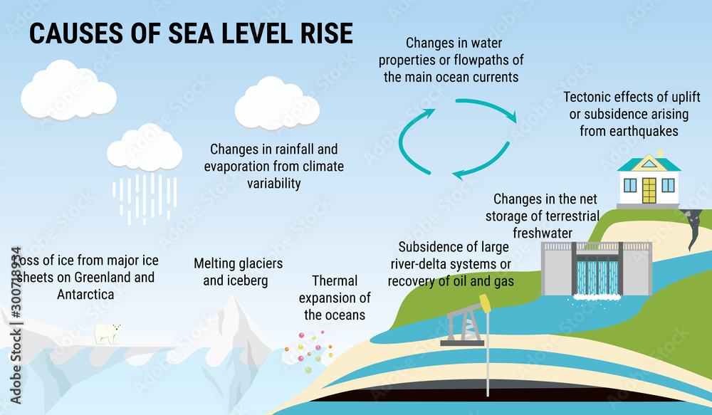 Causes of sea level rising, environmental vector infographic. Stock Vector | Adobe Stock