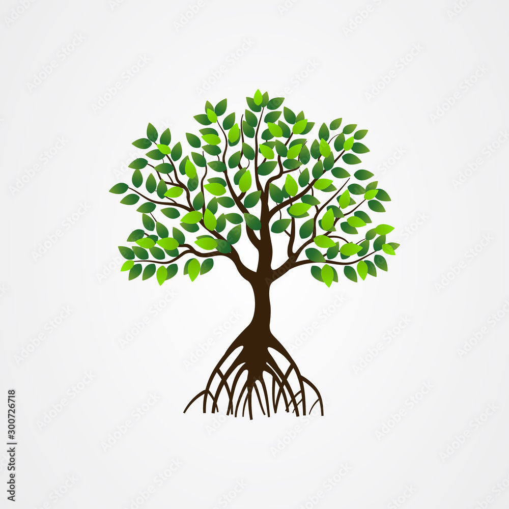 Mangrove tree with roots and green leaves vector illustration. Stock ...