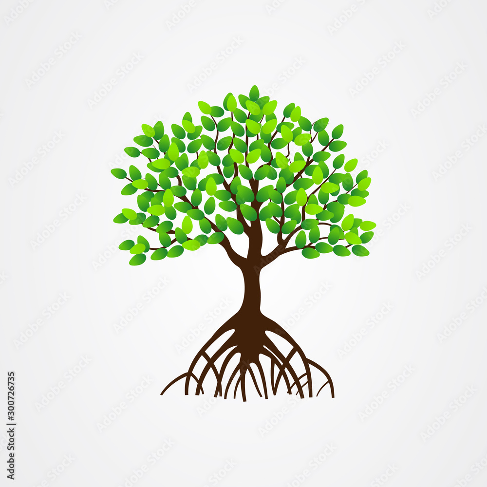 Mangrove tree with roots and green leaves vector illustration. Stock ...
