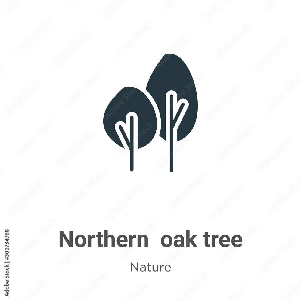 Northern red oak tree vector icon on white background. Flat vector ...