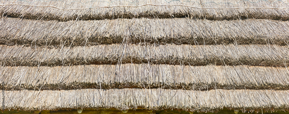 Rustic old thatched roof, detail. Stock Photo | Adobe Stock