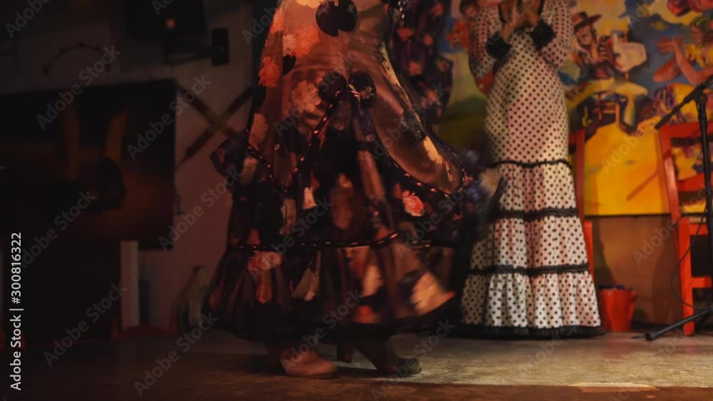 This video shows the fast moving feet of an anonymous female flamenco ...