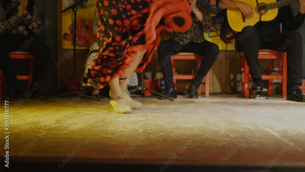 This video shows the legs an an anonymous female flamenco dancer as she ...