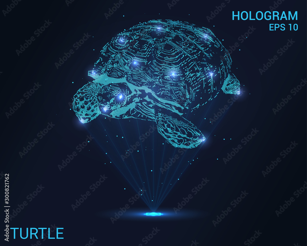 Hologram turtle. The rays of light create a hologram of a turtle. A ...
