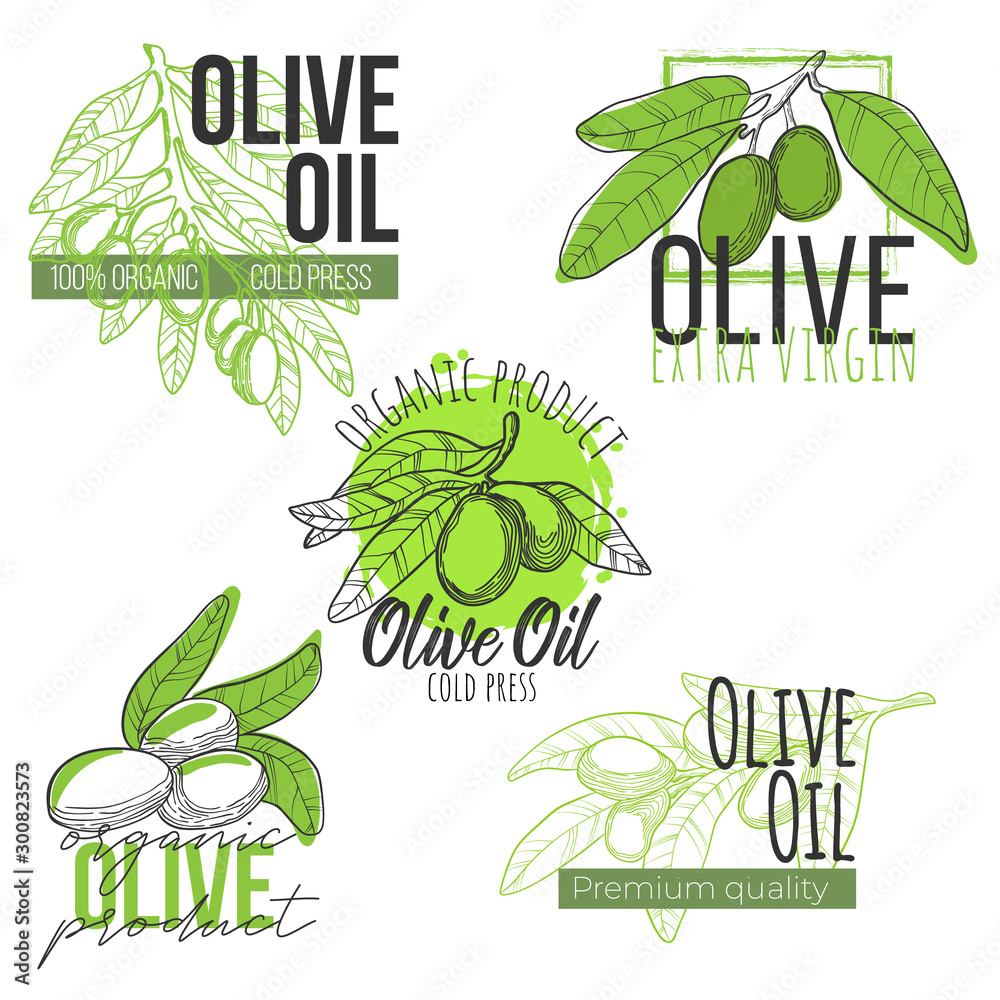 Set of hand drawn labels and signs of olive oil. Vector illustrations ...