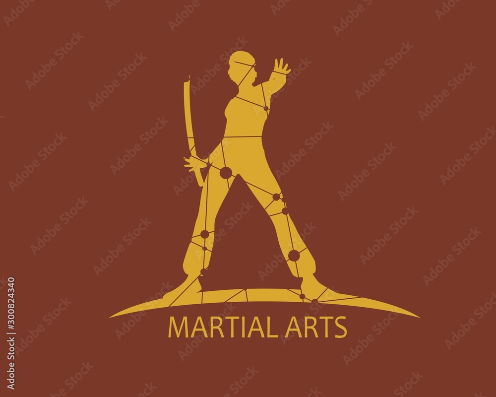 Martial art silhouette of woman in sword fight Kung Fu pose. Emblem for ...