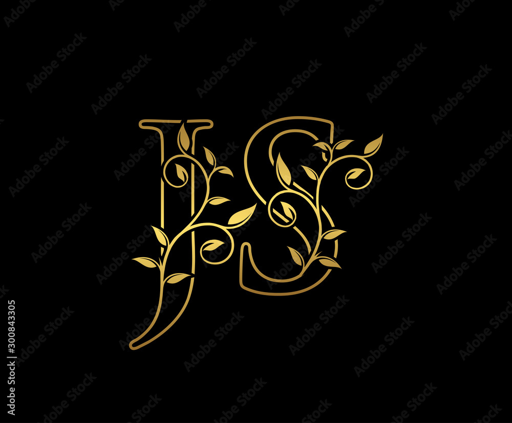 Classy letter J and S, JS vintage decorative ornament emblem badge ...