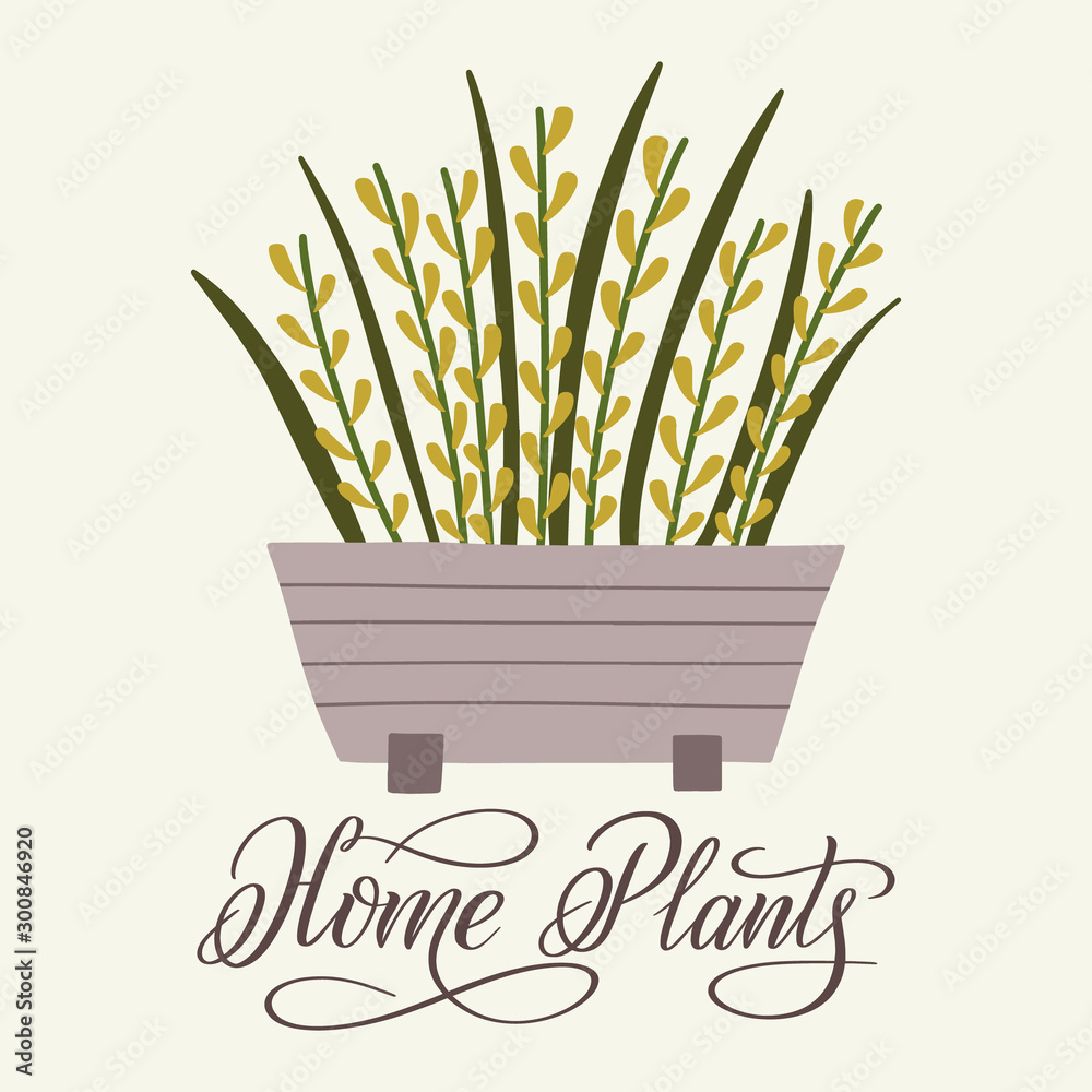House Plant Clip Art
