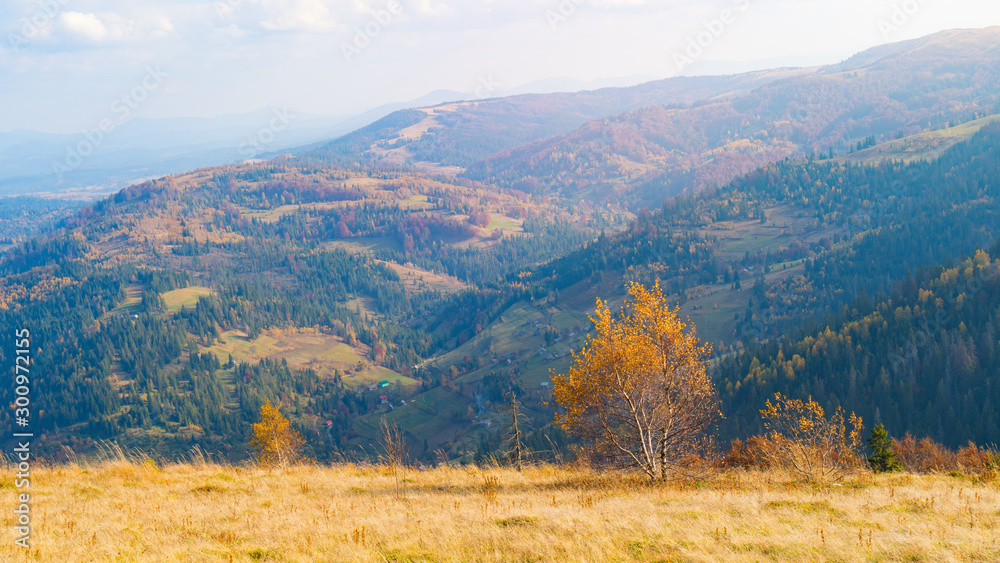 Ukraine Nature Wallpaper