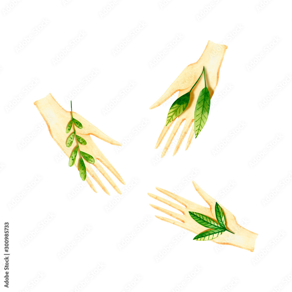Watercolor hands with green plants. Hand drawn illustration isolated on ...