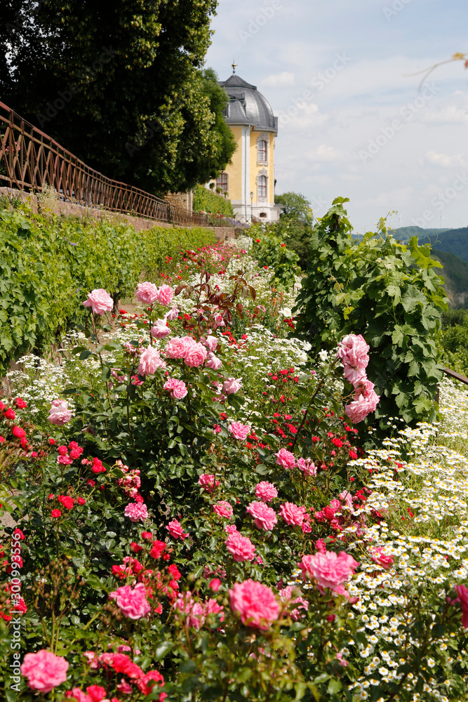 Dornburg castles, Rococo Castle, Garden, Dornburg Thuringia, Germany ...