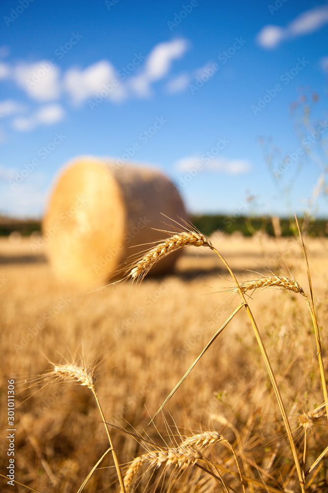 Meule de foin en campagne. Paysage de France et agriculture Stock Photo ...