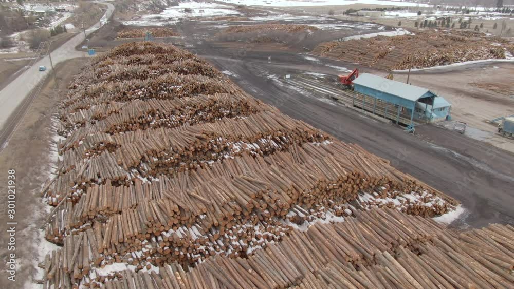 DRONE: Spectacular shot of large logs stacked into massive piles by a ...