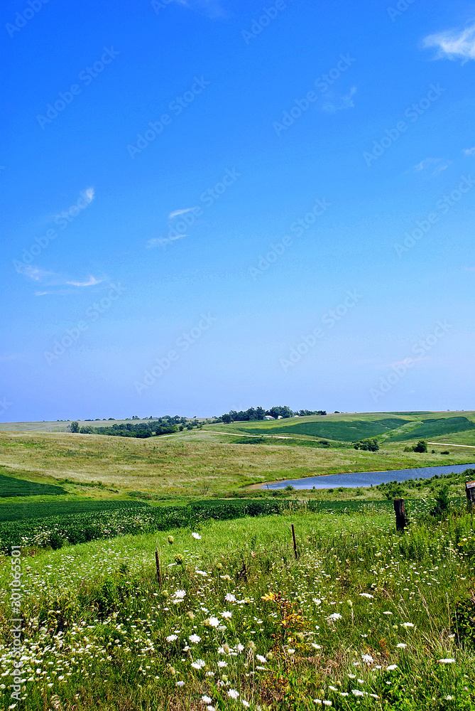 Typical Iowa countryside in late summer, with wildflowers at the edge ...