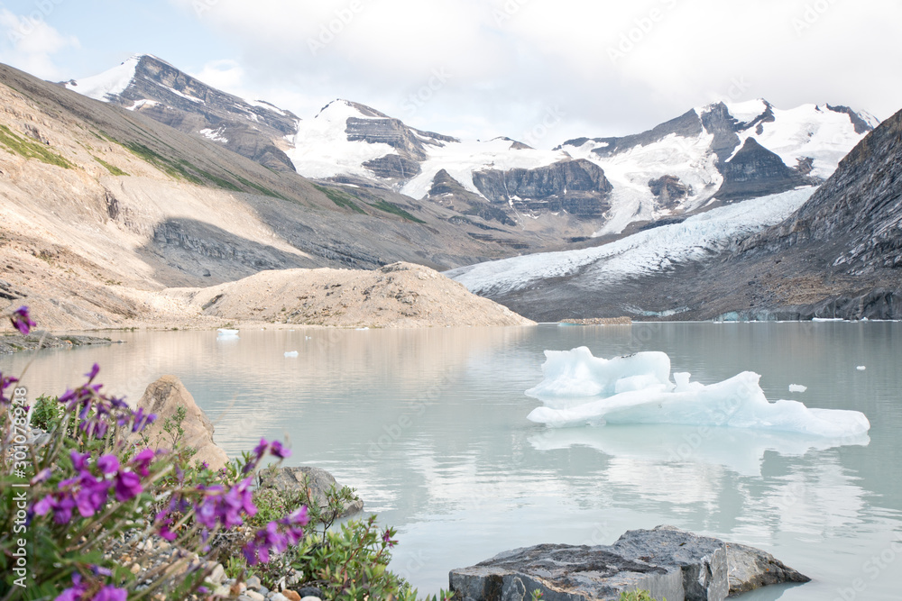 Hiking in Snowbird pass trail in Mt. robson provincial park Stock Photo ...