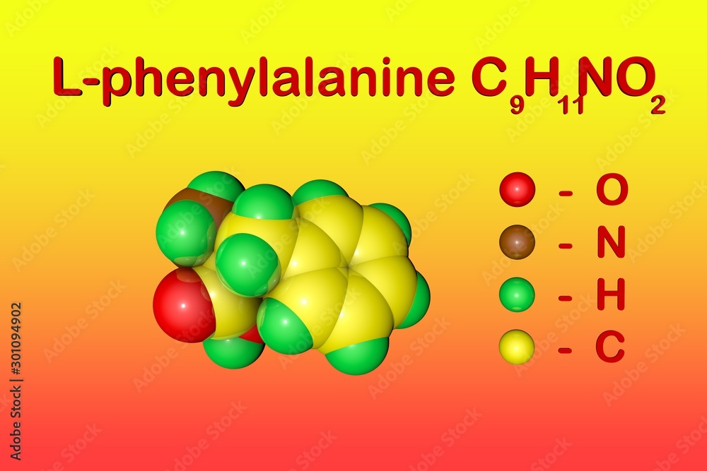 Structural chemical formula and space-filling molecular model of l ...