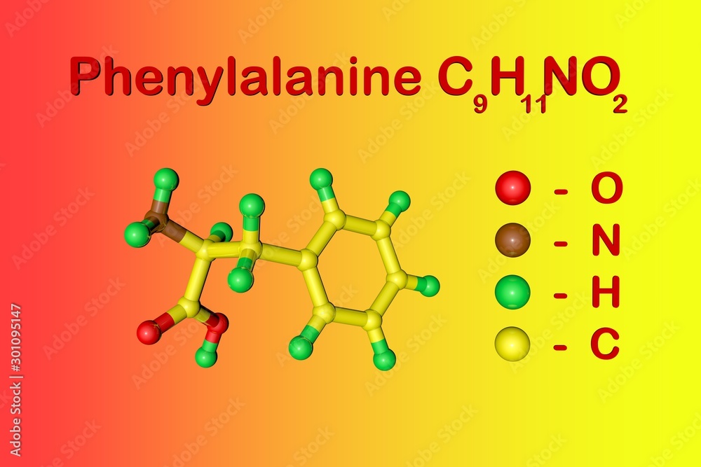 Structural chemical formula and molecular model of phenylalanine, an ...