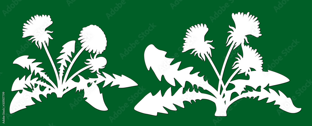 Laser cut template of dandelion. Openwork leaves, buds, flowers ...