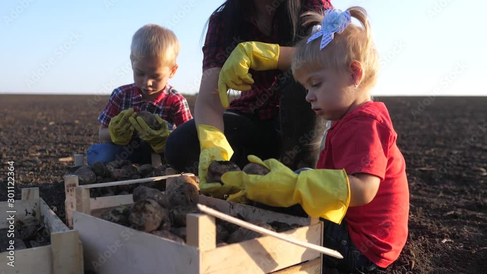 Vidéo Stock teamwork happy family red neck farmers eco farming ...