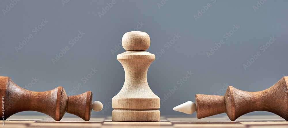 Concept of a victory and loss. The white pawn defeated the black chess ...