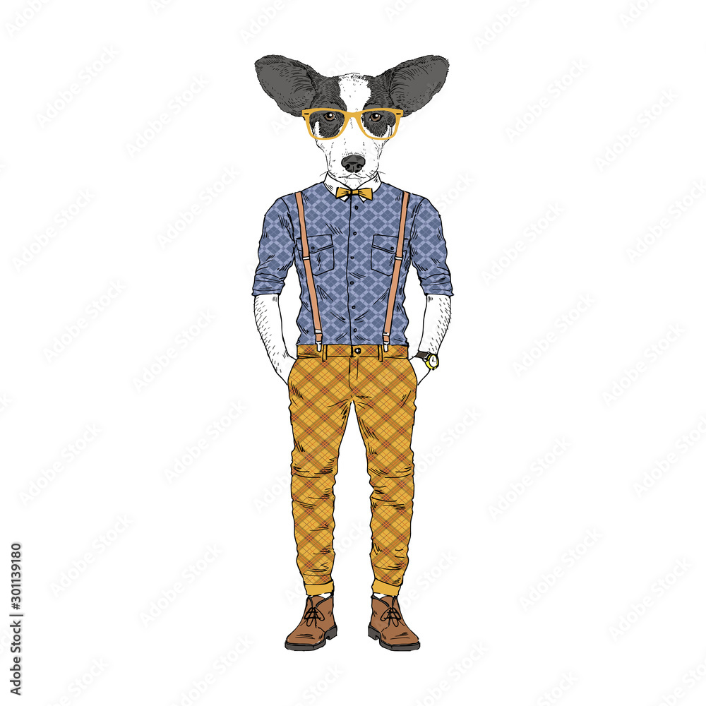 Humanized Welsh Corgi breed dog dressed up in modern city outfits ...