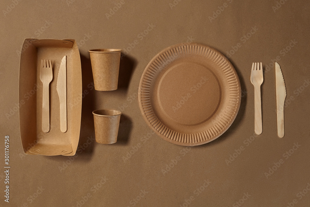 Eco friendly disposable tableware. Biodegradable craft dishes ...