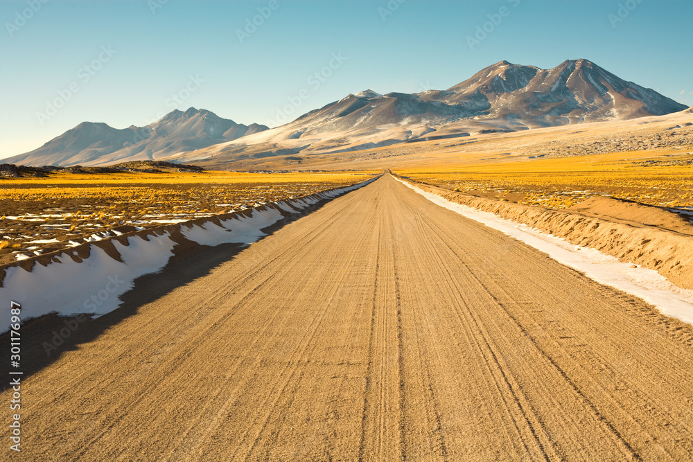 Andean Plateau