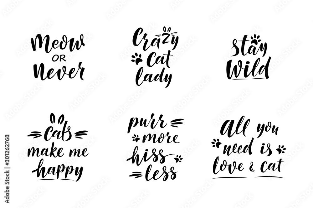 Cute slogans about cats. Handwritten textured sign for cat lovers. Meow ...