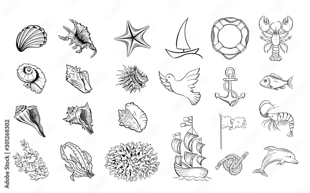 Marine themed black and white illustrations set. Sea flora, fauna and ...