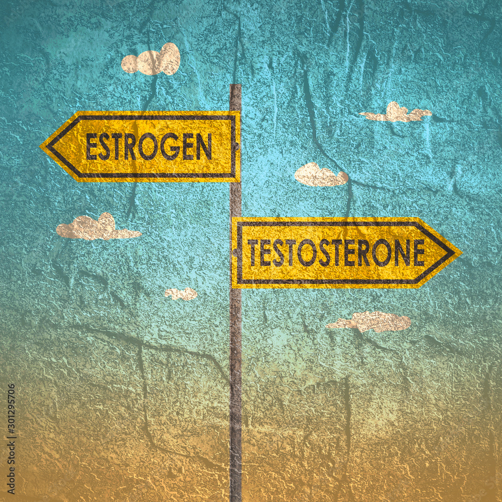 Road signs with testosterone and estrogen text. Male and female ...
