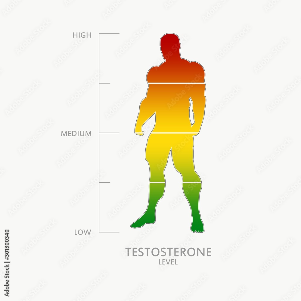 Hormone testosterone level measuring scale. Health care concept ...
